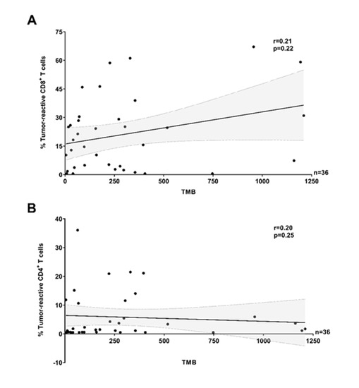 Cancers Special Issue Cancer Immunology
