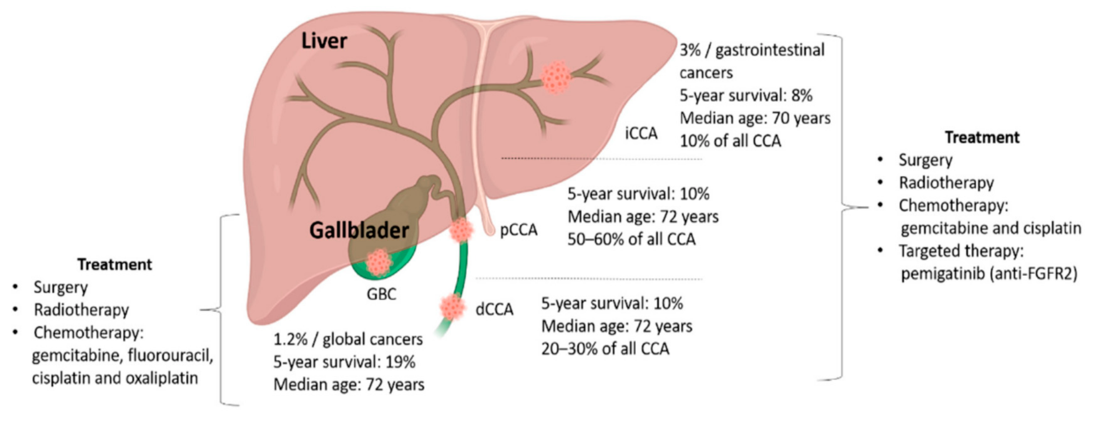 Cancers Free Full Text Biliary Tract Cancers Molecular