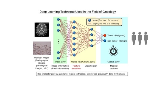 Cancers | Free Full-Text | Application of Artificial Intelligence ...