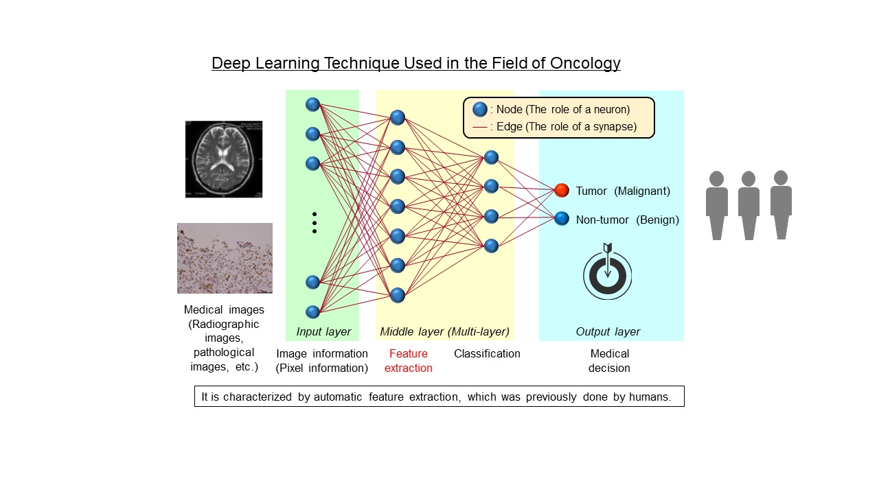 Cancers | Free Full-Text | Application of Artificial Intelligence ...