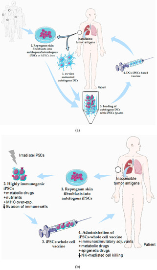 Strategies for Cancer Immunotherapy Using Induced Pluripotency Stem ...