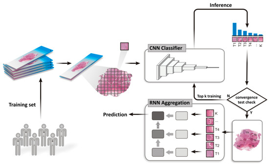 Cancers | Free Full-Text | Deep Learning Predicts Underlying Features ...