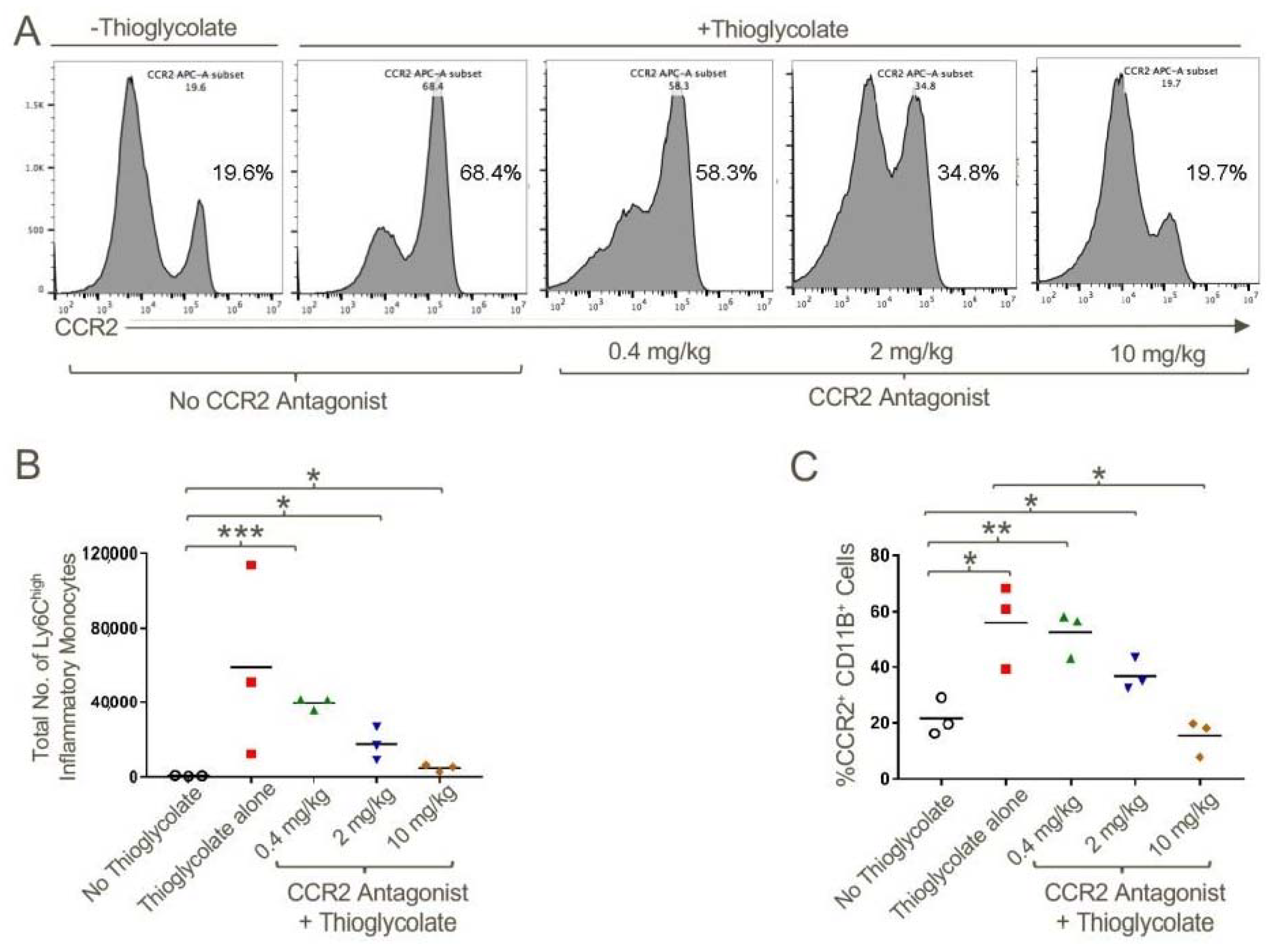 The CCR2/MCP-1 Chemokine Pathway and Lung Adenocarcinoma