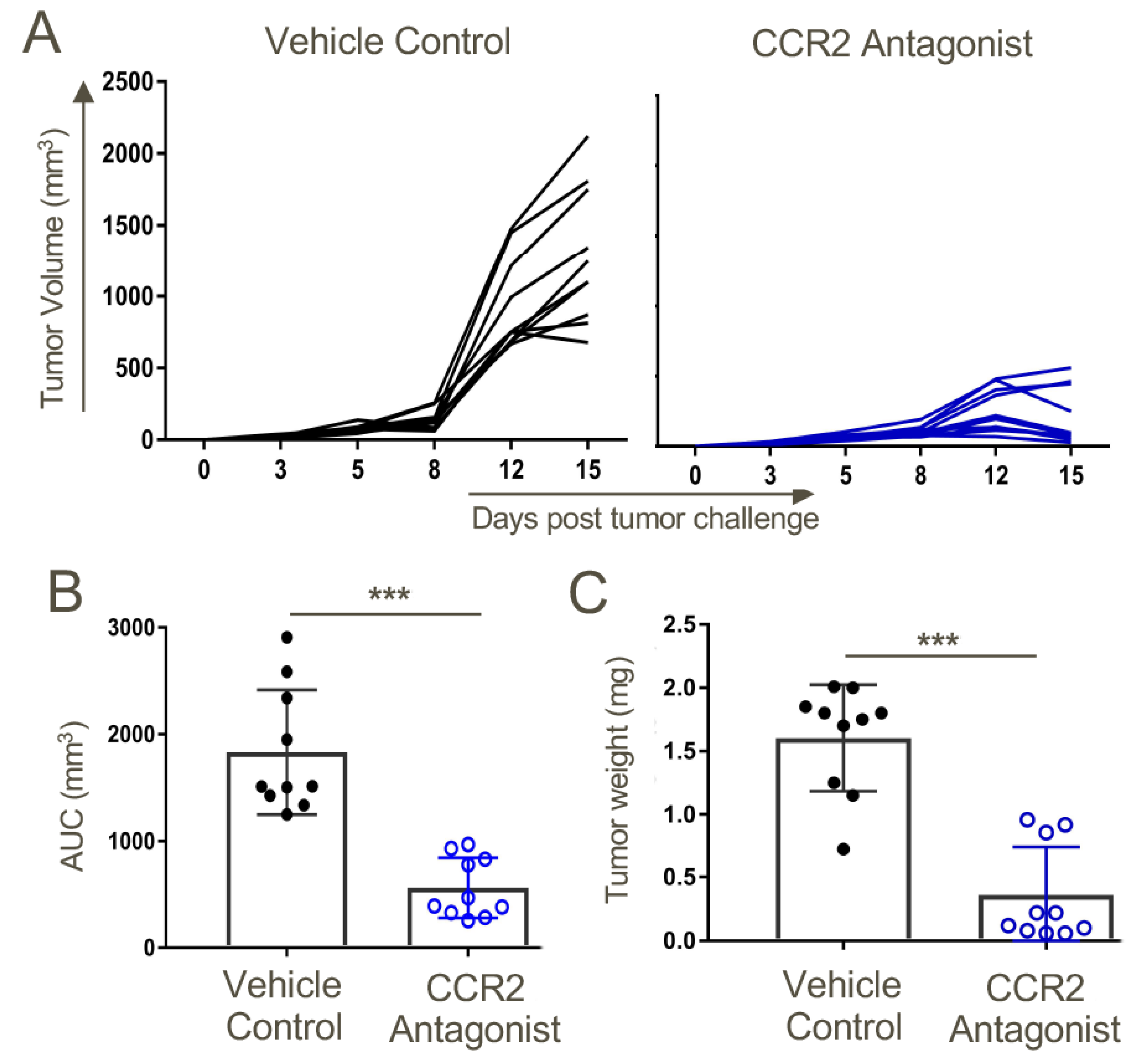 The CCR2/MCP-1 Chemokine Pathway and Lung Adenocarcinoma