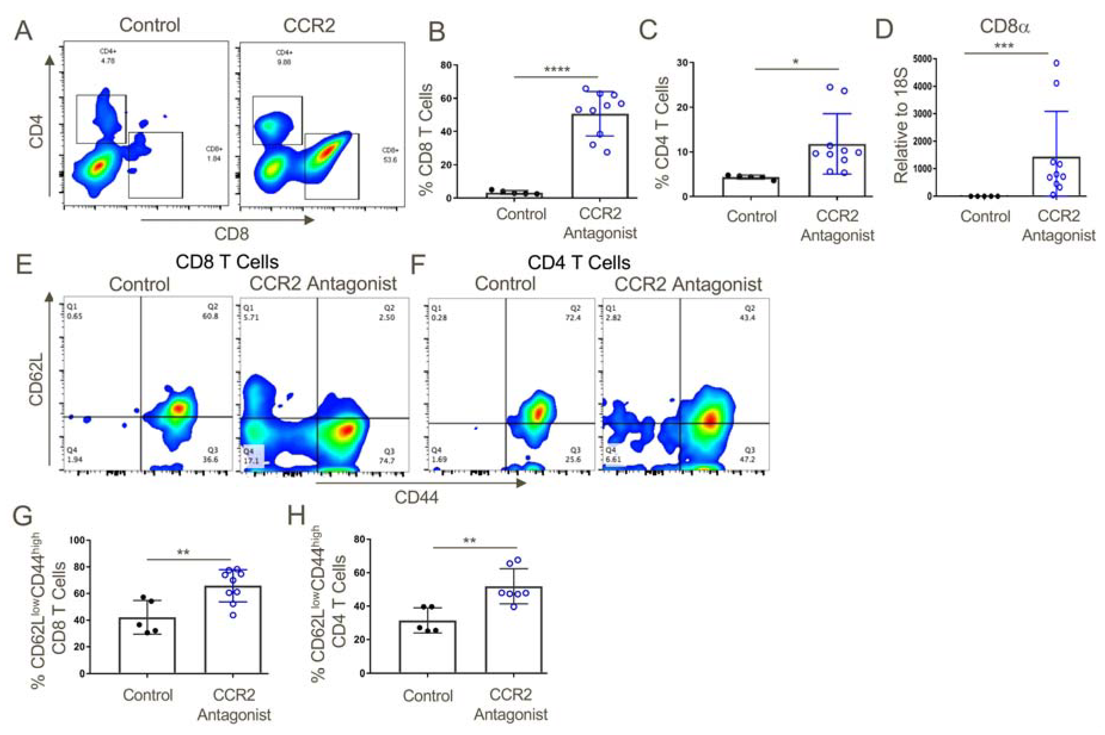 The CCR2/MCP-1 Chemokine Pathway and Lung Adenocarcinoma