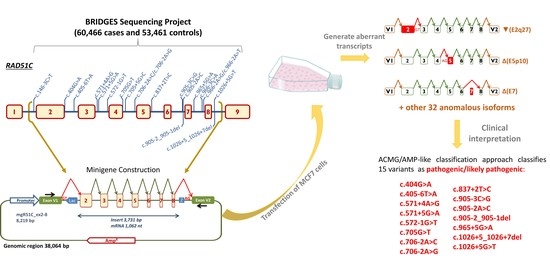 Cancers | Free Full-Text | Comprehensive Functional Characterization and Clinical Interpretation ...