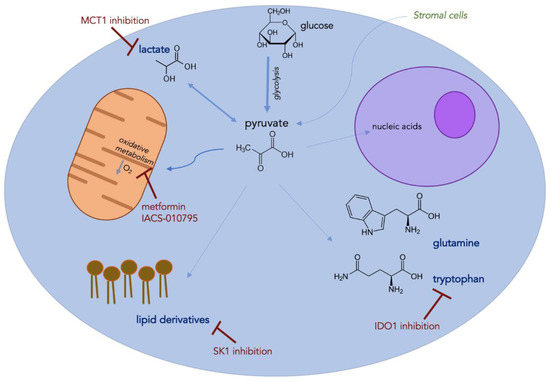 Cancers | Free Full-Text | Characteristics of the Tumor ...