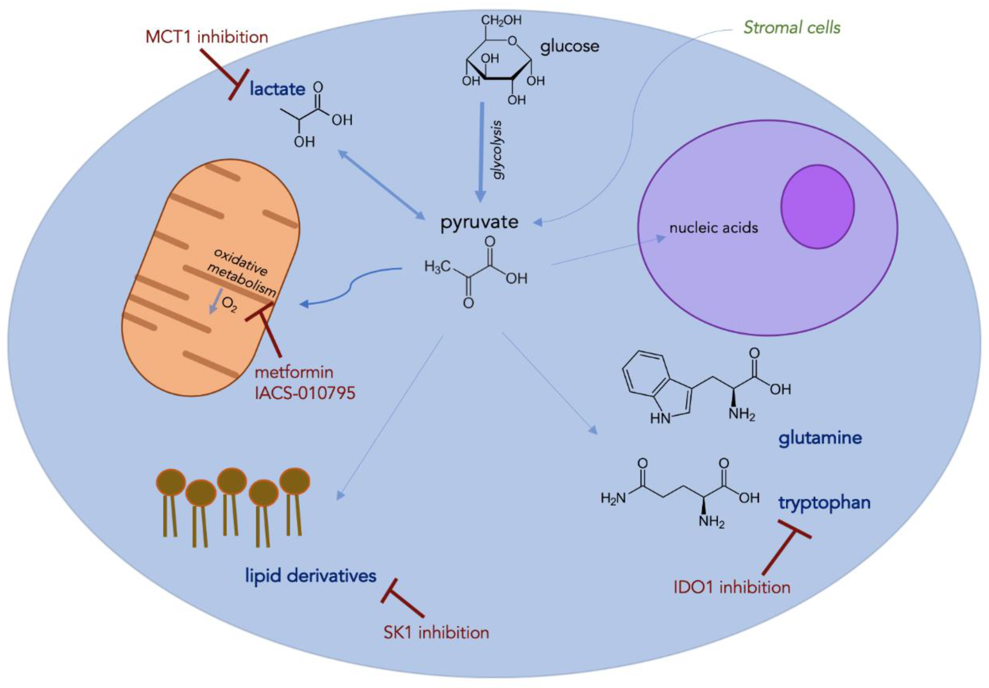 Characteristics of the Tumor Microenvironment That Influence Immune ...