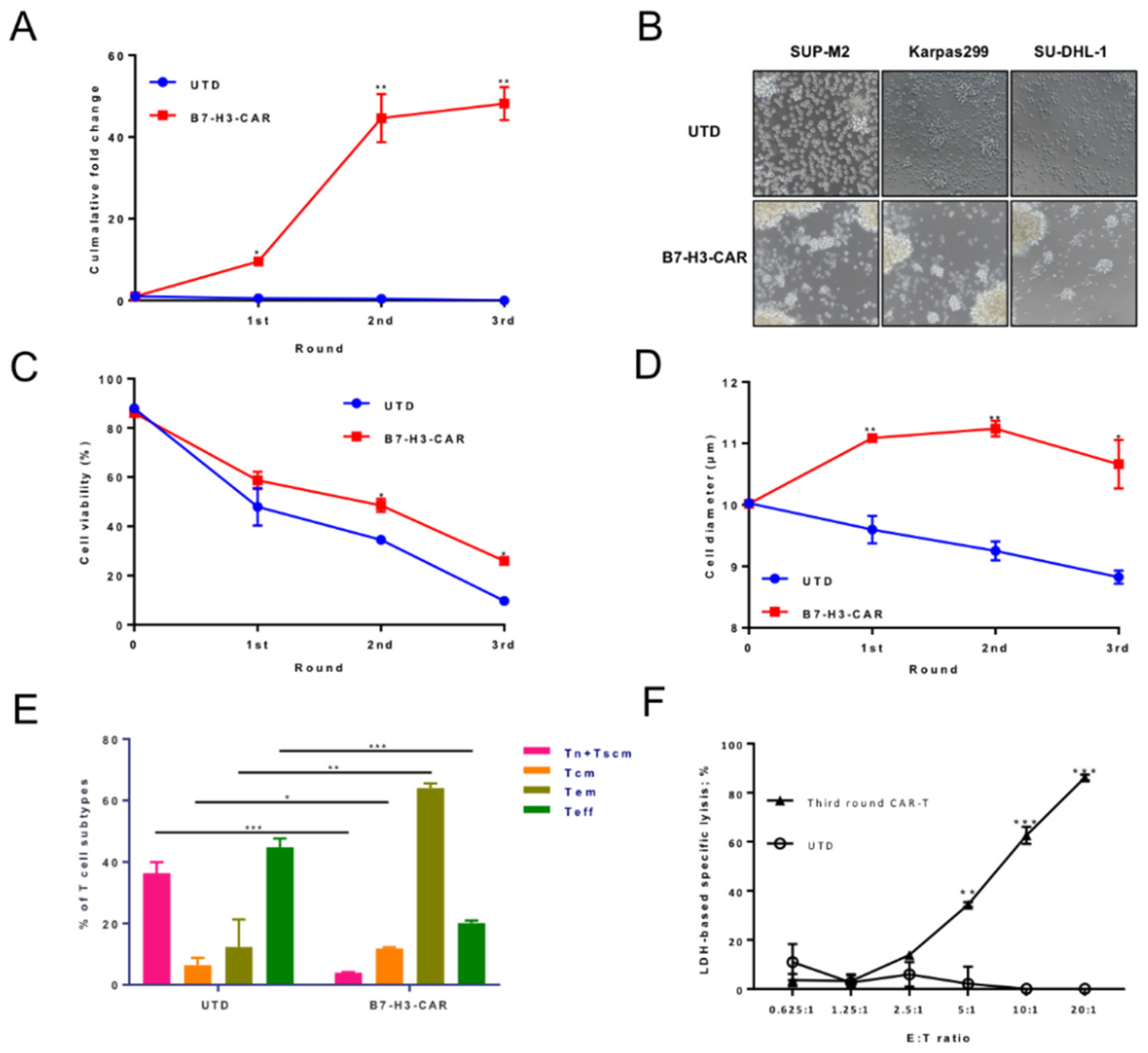 B7-H3 Chimeric Antigen Receptor Redirected T Cells Target Anaplastic ...