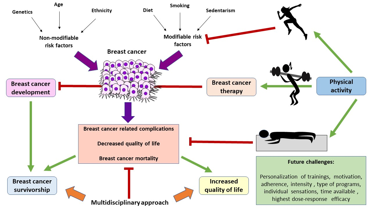 Cancers | Free Full-Text | Physical Activity as an Imperative Support ...