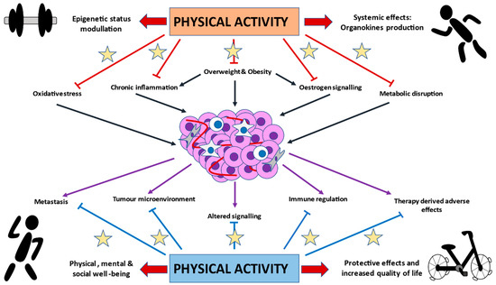 Physical Activity as an Imperative Support in Breast Cancer Management