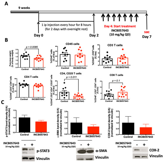 The Bromodomain Inhibitor, INCB057643, Targets Both Cancer Cells and ...