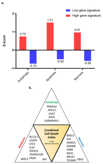 Cancers | Free Full-Text | Immunogenomic Gene Signature of Cell-Death ...