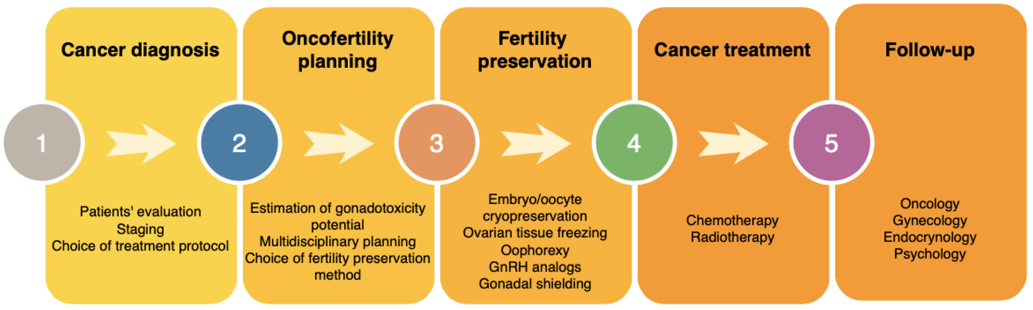 Cancers | Free Full-Text | Fertility Preservation and Long-Term ...