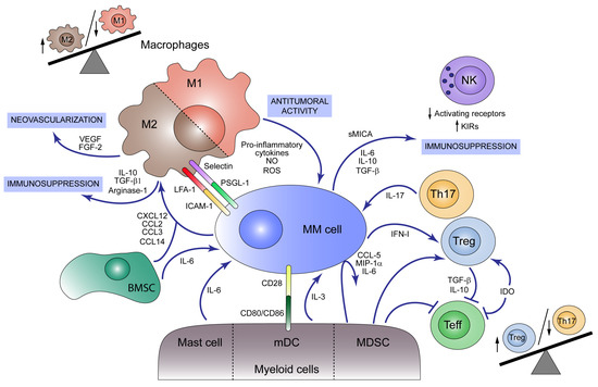 The Role of Tumor Microenvironment in Multiple Myeloma Development and ...