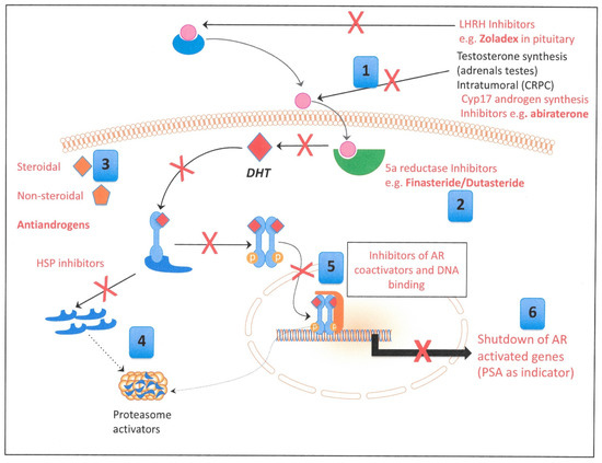 Resistance to Antiandrogens in Prostate Cancer: Is It Inevitable ...