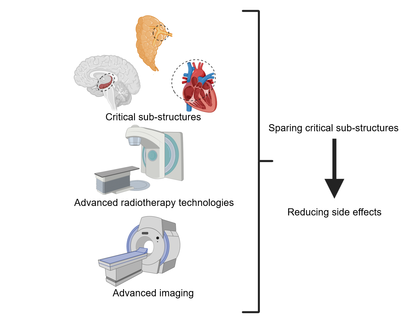 Cancers | Free Full-Text | Regional Responses in Radiation-Induced ...