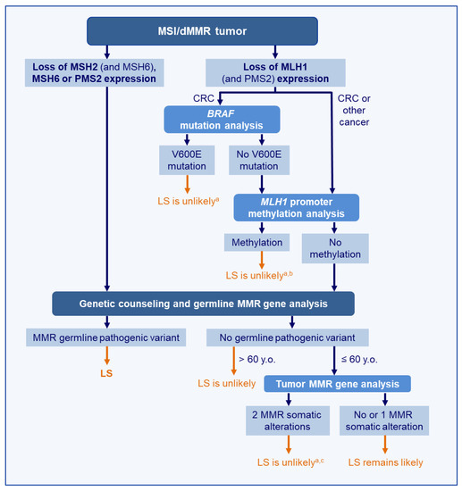 Diagnosis of Lynch Syndrome and Strategies to Distinguish Lynch-Related ...