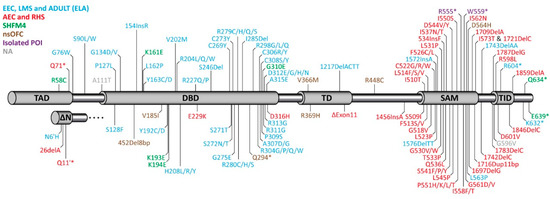 Isoform-Specific Roles of Mutant p63 in Human Diseases