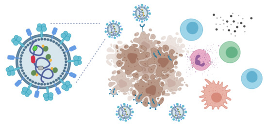 Cancers | Free Full-Text | Measles Virus as an Oncolytic Immunotherapy