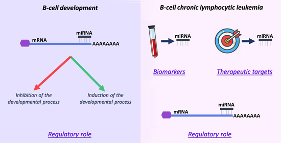 Cancers | Special Issue : MicroRNA and Cancer