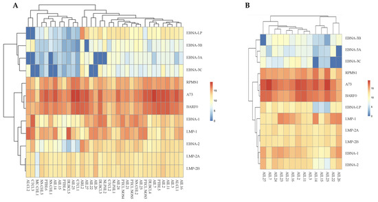 Cancers | Free Full-Text | Comprehensive Epstein-Barr Virus ...