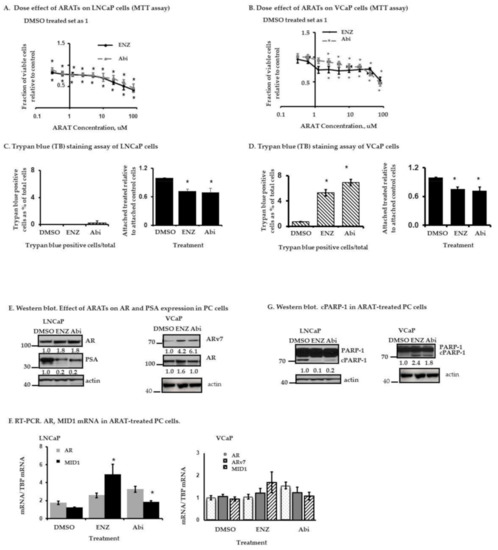 Cancers | Free Full-Text | Metformin and Androgen Receptor-Axis ...