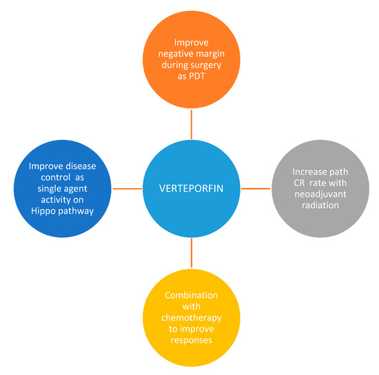 Photodynamic Therapy Using Hippo Pathway Inhibitor Verteporfin: A ...