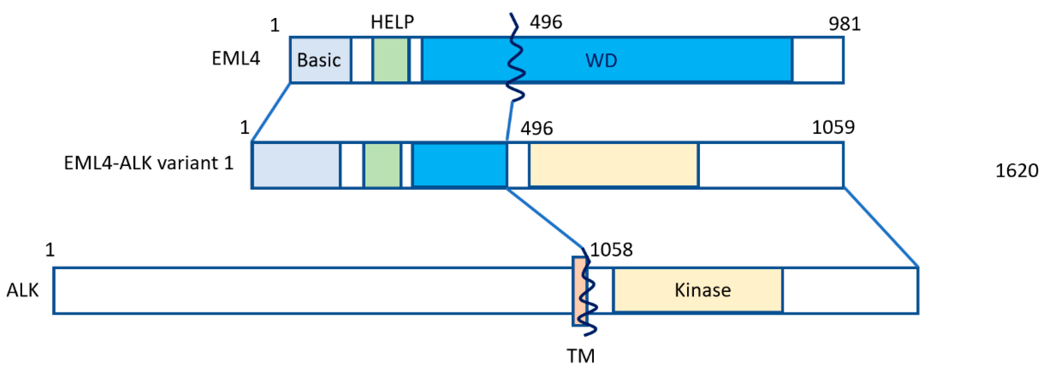 Current Knowledge about Mechanisms of Drug Resistance against ALK ...