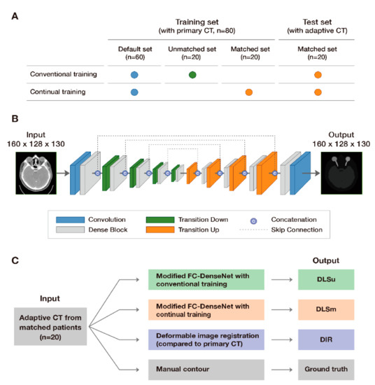 Cancers | Free Full-Text | Feasibility of Continual Deep Learning-Based Segmentation for ...