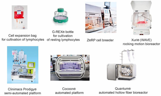 Adoptive Immunotherapy beyond CAR T-Cells