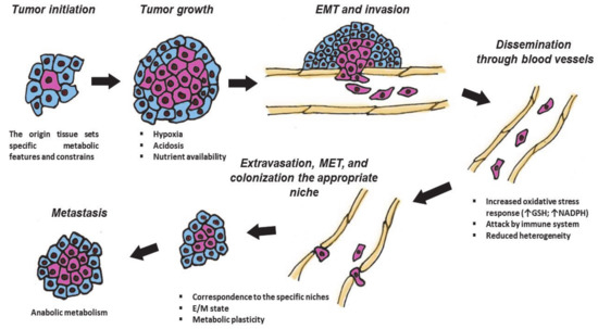 Linking Metabolic Reprogramming, Plasticity and Tumor Progression