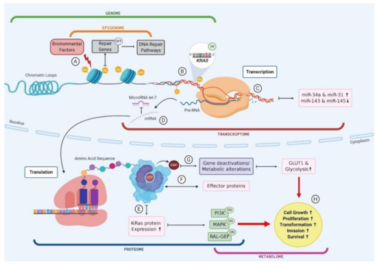 Multi-Omic Biomarkers in Pancreatic cancer | Encyclopedia MDPI