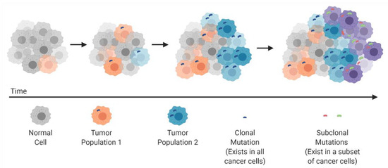 Tumor Heterogeneity: A Great Barrier in the Age of Cancer Immunotherapy