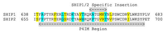 Targeting SHIP1 and SHIP2 in Cancer