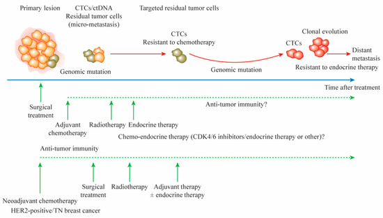 Clinical Perspectives in Addressing Unsolved Issues in (Neo)Adjuvant ...