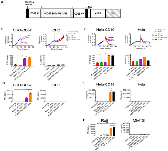 Cancers | Free Full-Text | Novel CD37, Humanized CD37 and Bi-Specific ...