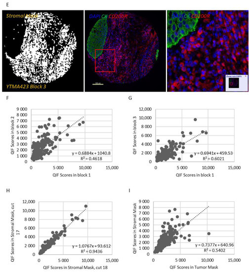 Quantitative Assessment of CD200 and CD200R Expression in Lung Cancer
