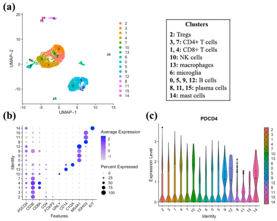 Clinical Significance of PDCD4 in Melanoma by Subcellular Expression ...