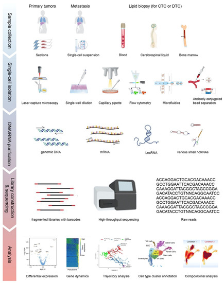 Single-Cell Techniques in Cancer Metastases | Encyclopedia MDPI