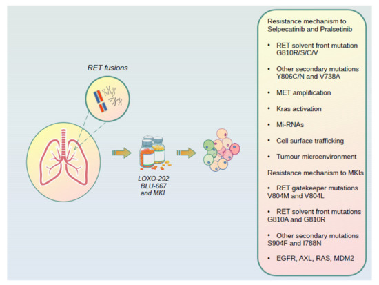Chasing the Target: New Phenomena of Resistance to Novel Selective RET ...