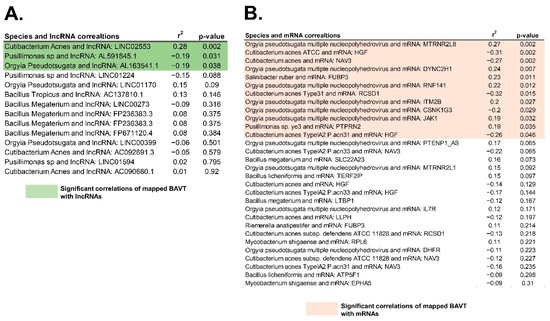 Bacterial, Archaea, and Viral Transcripts (BAVT) Expression in ...