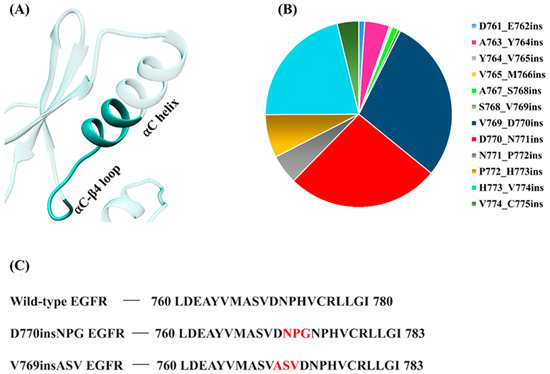 Structural Basis for the Functional Changes by EGFR Exon 20 Insertion ...