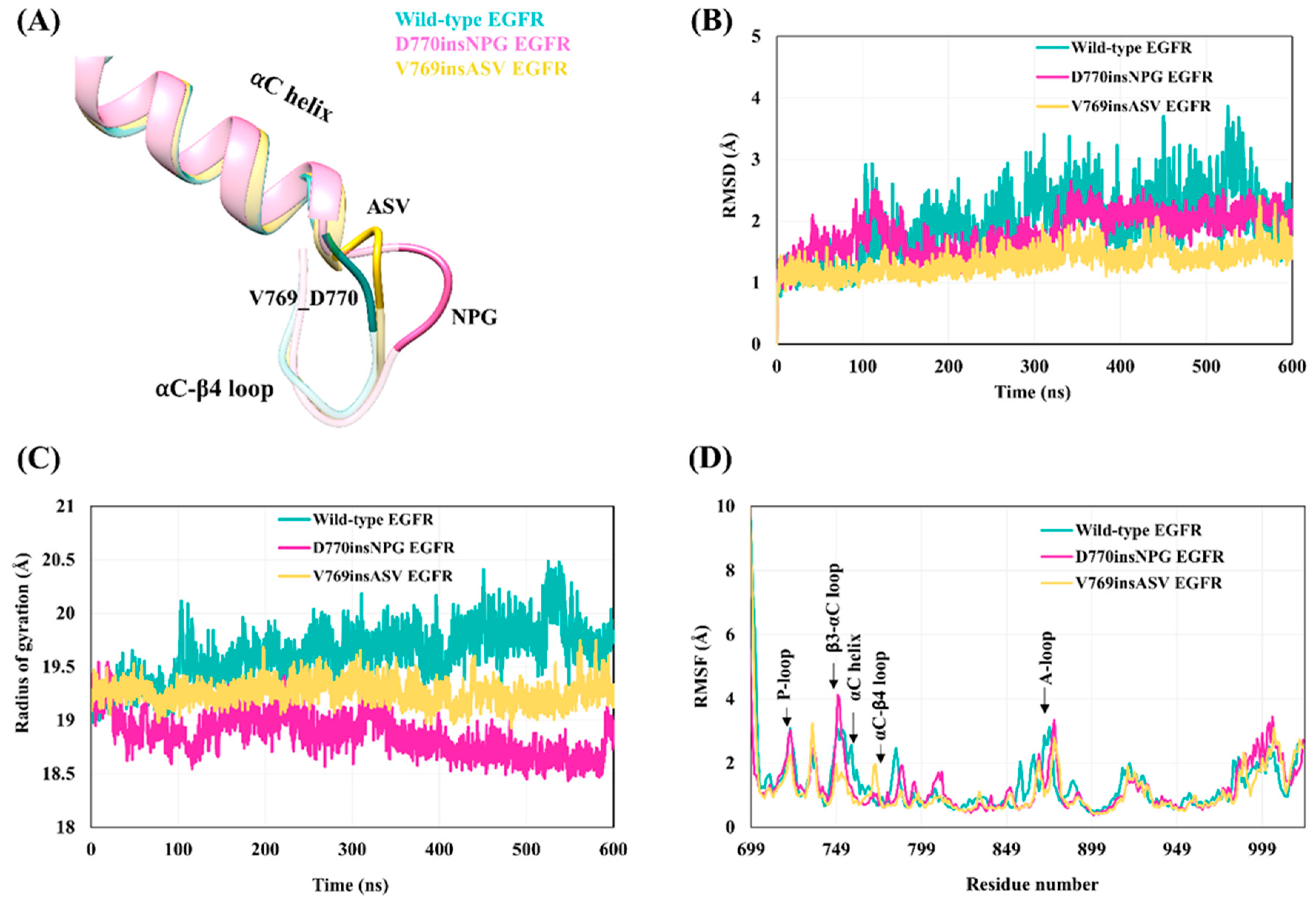 Structural Basis for the Functional Changes by EGFR Exon 20 Insertion ...