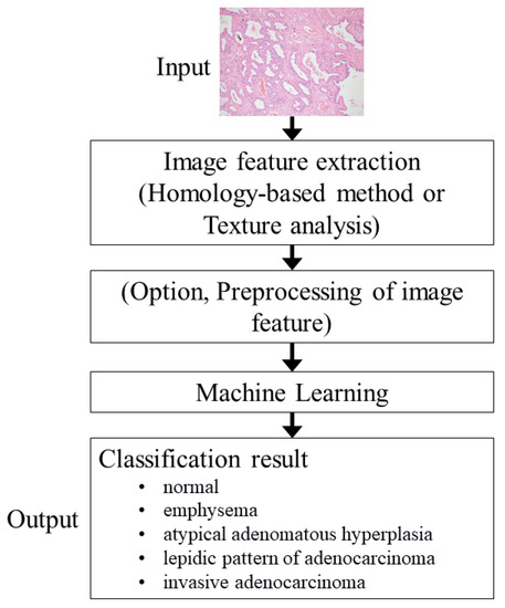 Homology-Based Image Processing for Automatic Classification of ...