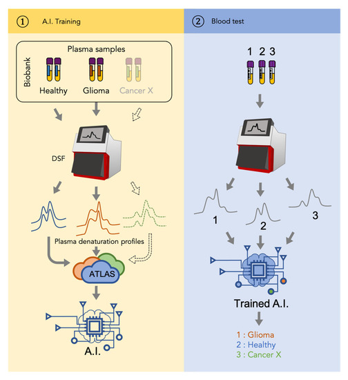 An AI-Powered Blood Test to Detect Cancer Using NanoDSF
