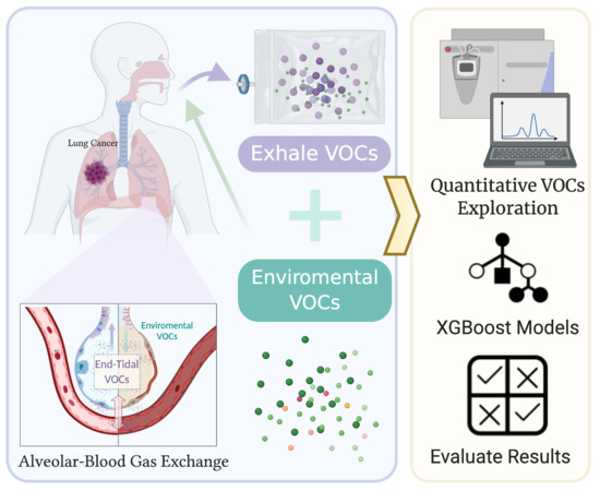 Cancers | Free Full-Text | Exploring Volatile Organic Compounds in ...