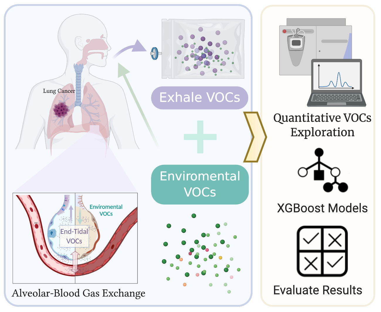 Cancers | Free Full-Text | Exploring Volatile Organic Compounds in ...