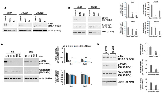 Momordicine-I, a Bitter Melon Bioactive Metabolite, Displays Anti-Tumor ...