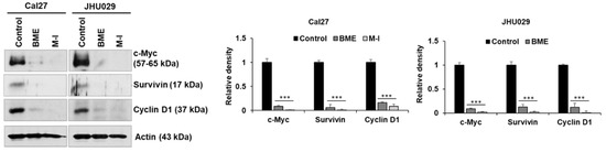 Momordicine-I, a Bitter Melon Bioactive Metabolite, Displays Anti-Tumor ...